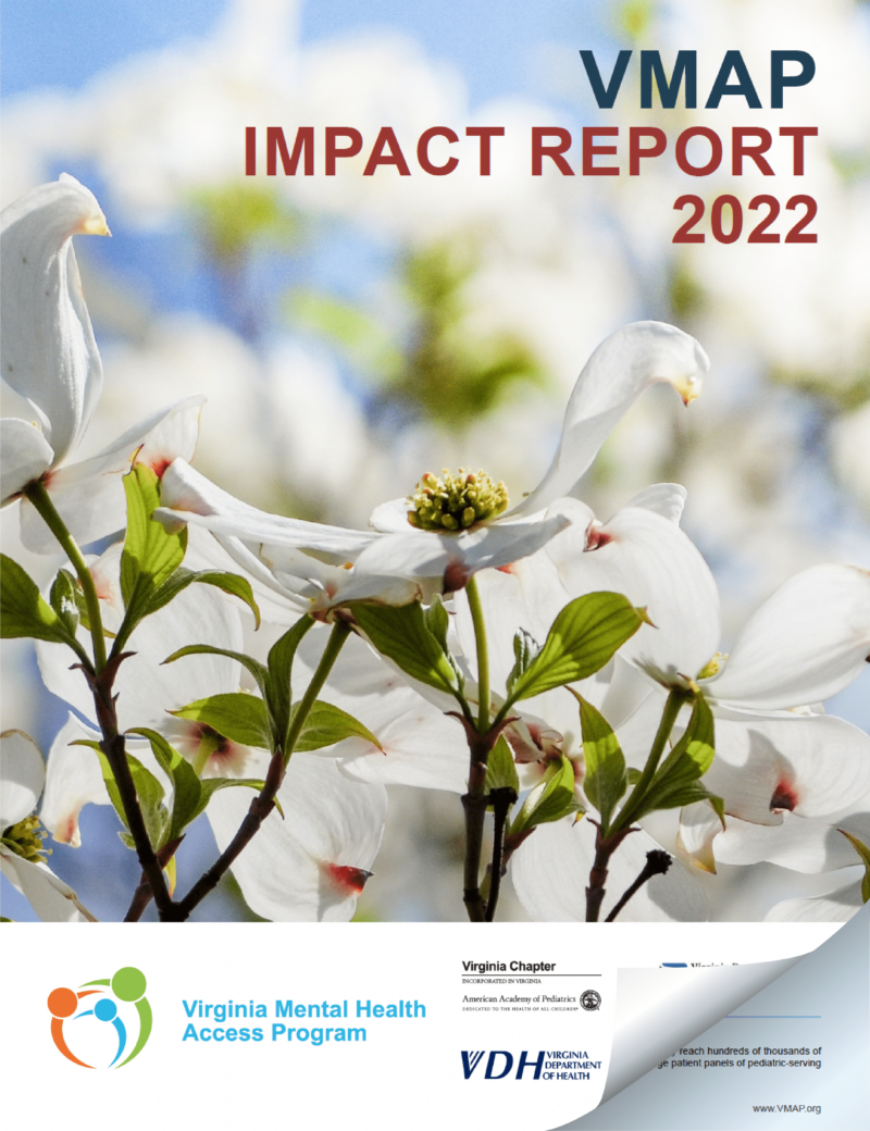 2023 Impact Report - Virginia Mental Health Access Program | VMAP.org